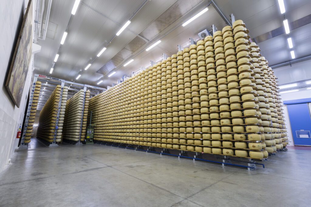 Modena Terminal: formaggio al sicuro con il Tree Cheese ROSSS